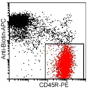 B Cell Isolation Kit, mouse | Miltenyi Biotec | USA