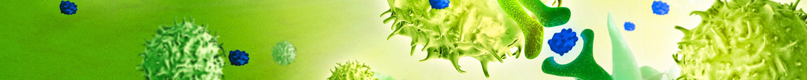 Mhc Multimer I Antigen Specific T Cell Response Miltenyi Biotec Usa 