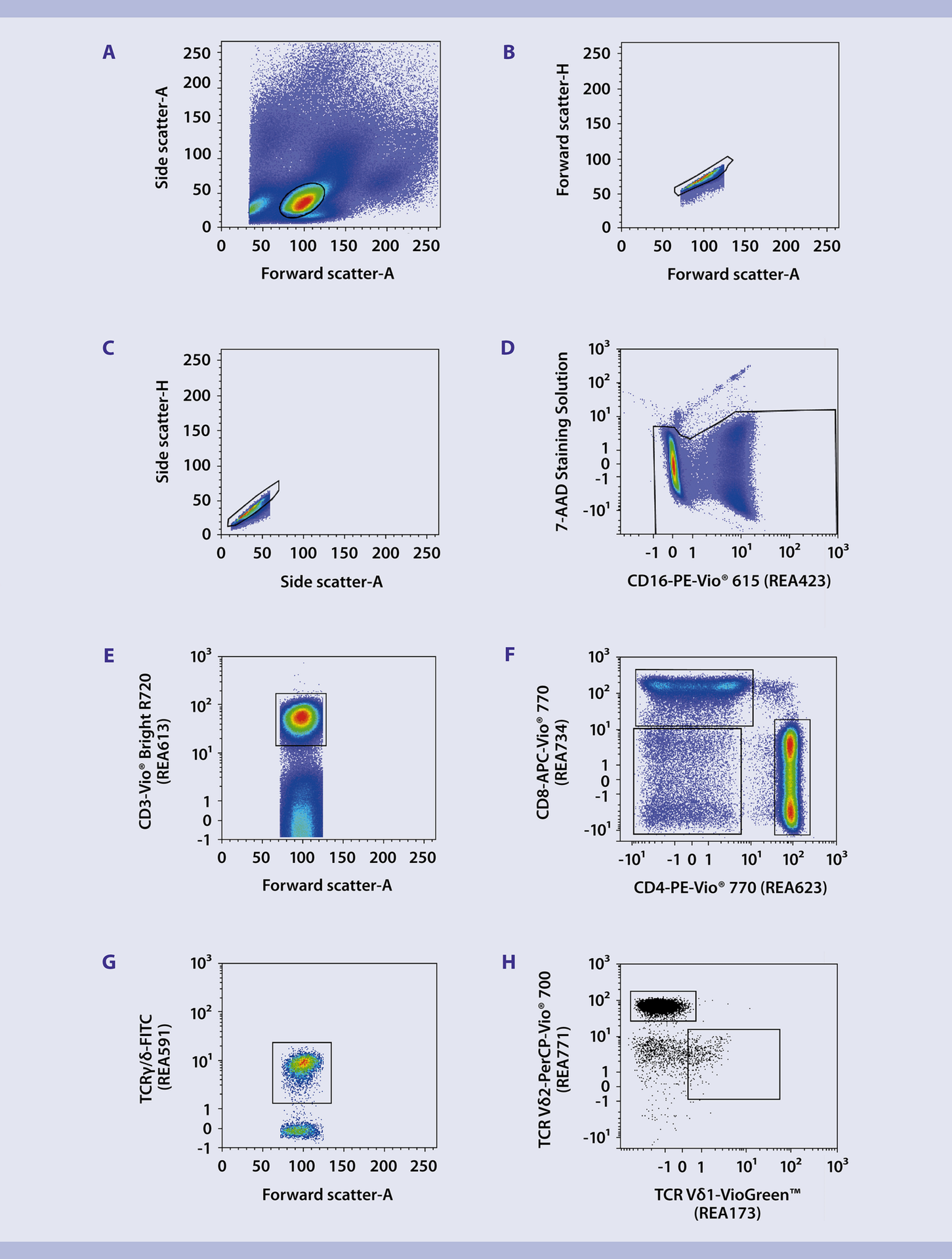 Immunophenotyping | human γδ T cells | Protocol | Miltenyi Biotec ...