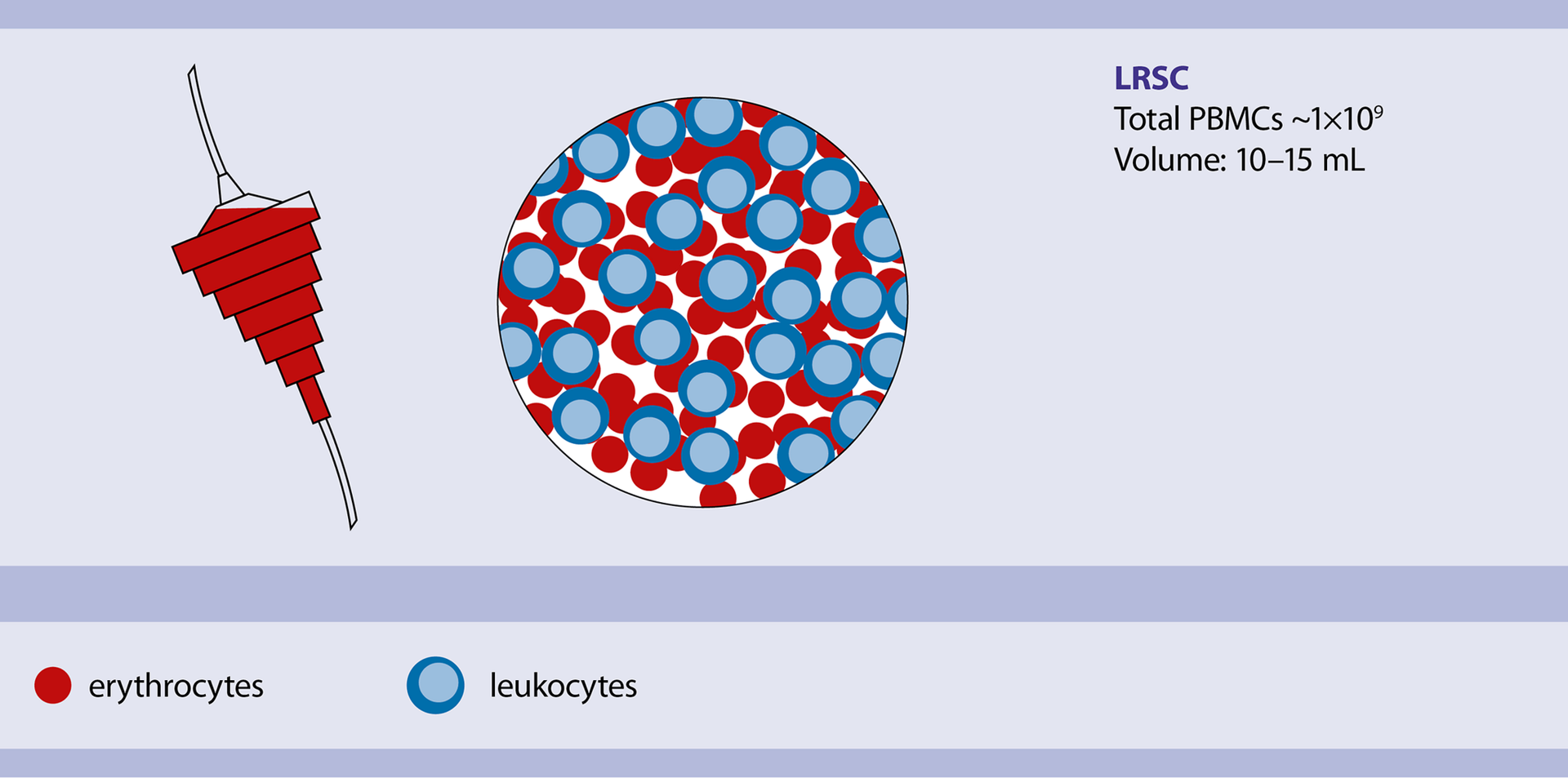 Peripheral Blood | Whole blood | Handbook | Miltenyi Biotec | Great Britain