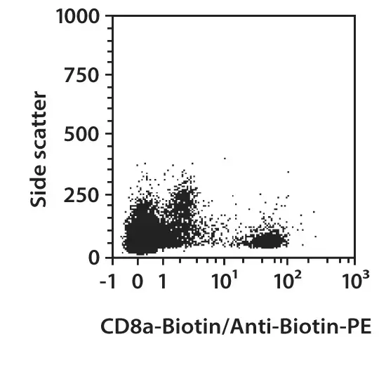 CD8a Antibody, anti-mouse | Miltenyi Biotec | USA
