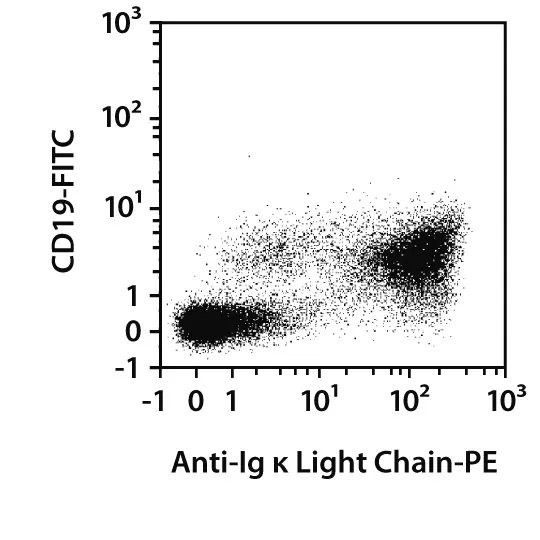 Ig κ Light Chain Antibody, anti-mouse | Miltenyi Biotec | USA