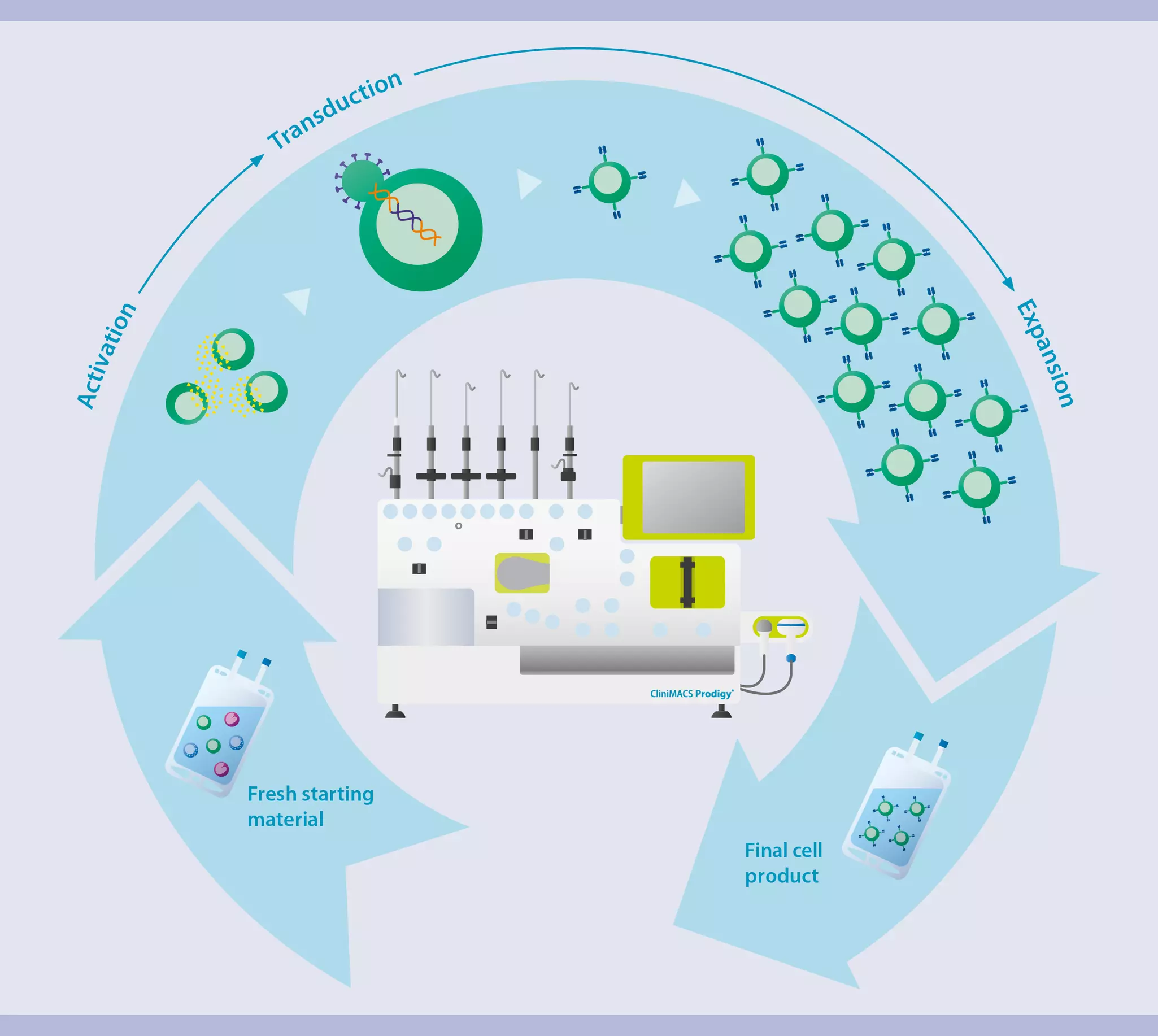 Gamma delta T cells | Manufacturing solutions | Miltenyi Biotec | USA