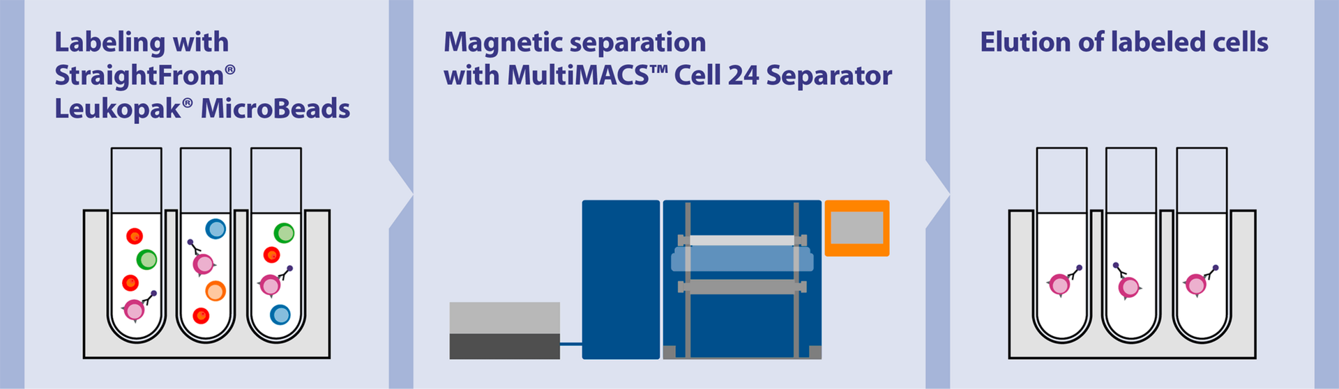 Immune cell isolation directly from Leukopak® | Miltenyi Biotec | USA