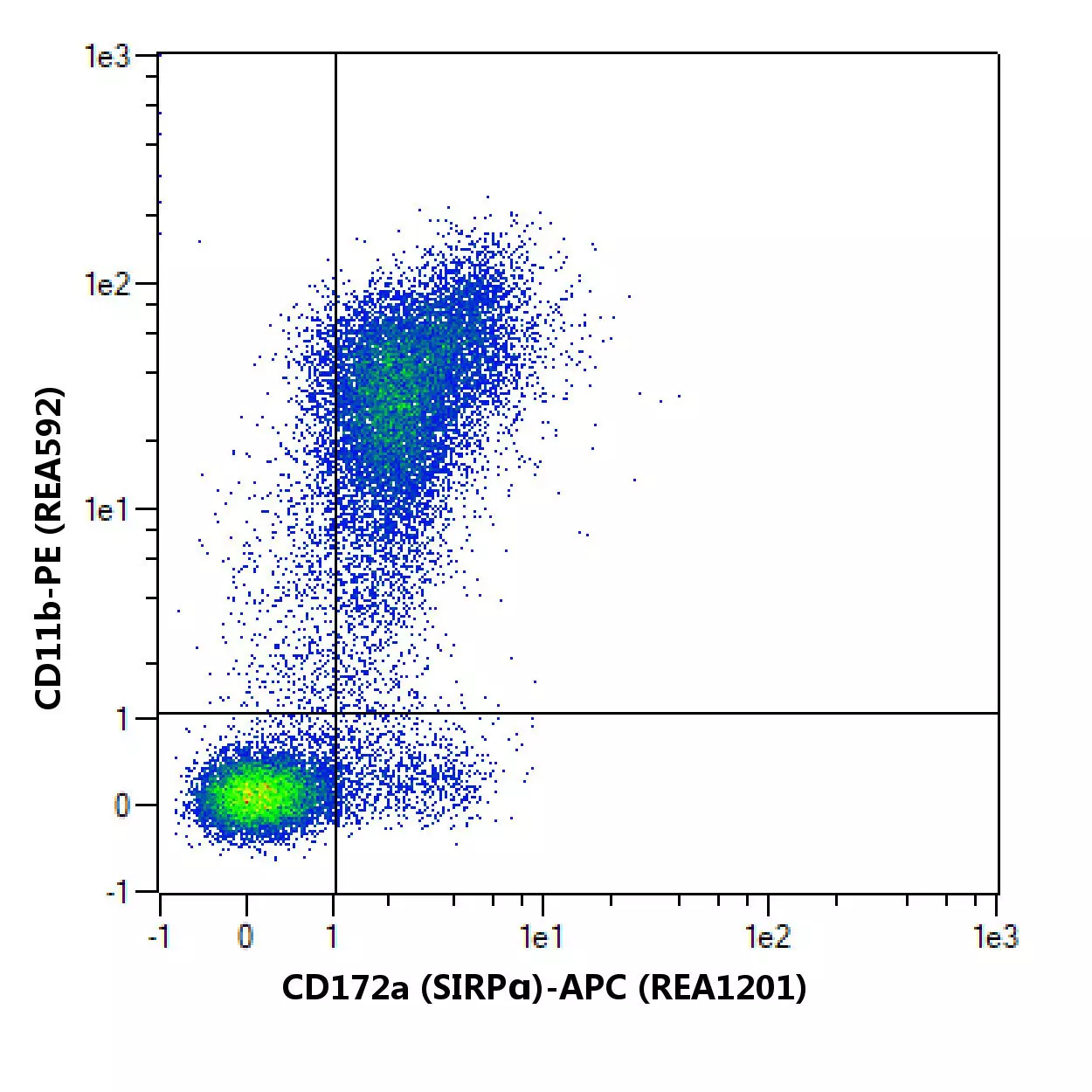 CD172a (SIRPα) Antibody, anti-mouse, REAfinity™ | Miltenyi Biotec | USA