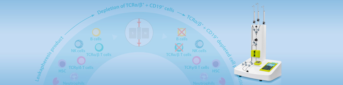 Cell enrichment | Cell depletion | Clinical-scale | CliniMACS® Plus ...