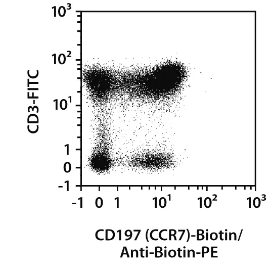 CD197 (CCR7) Antibody, anti-human, REAfinity™ | Miltenyi Biotec | USA