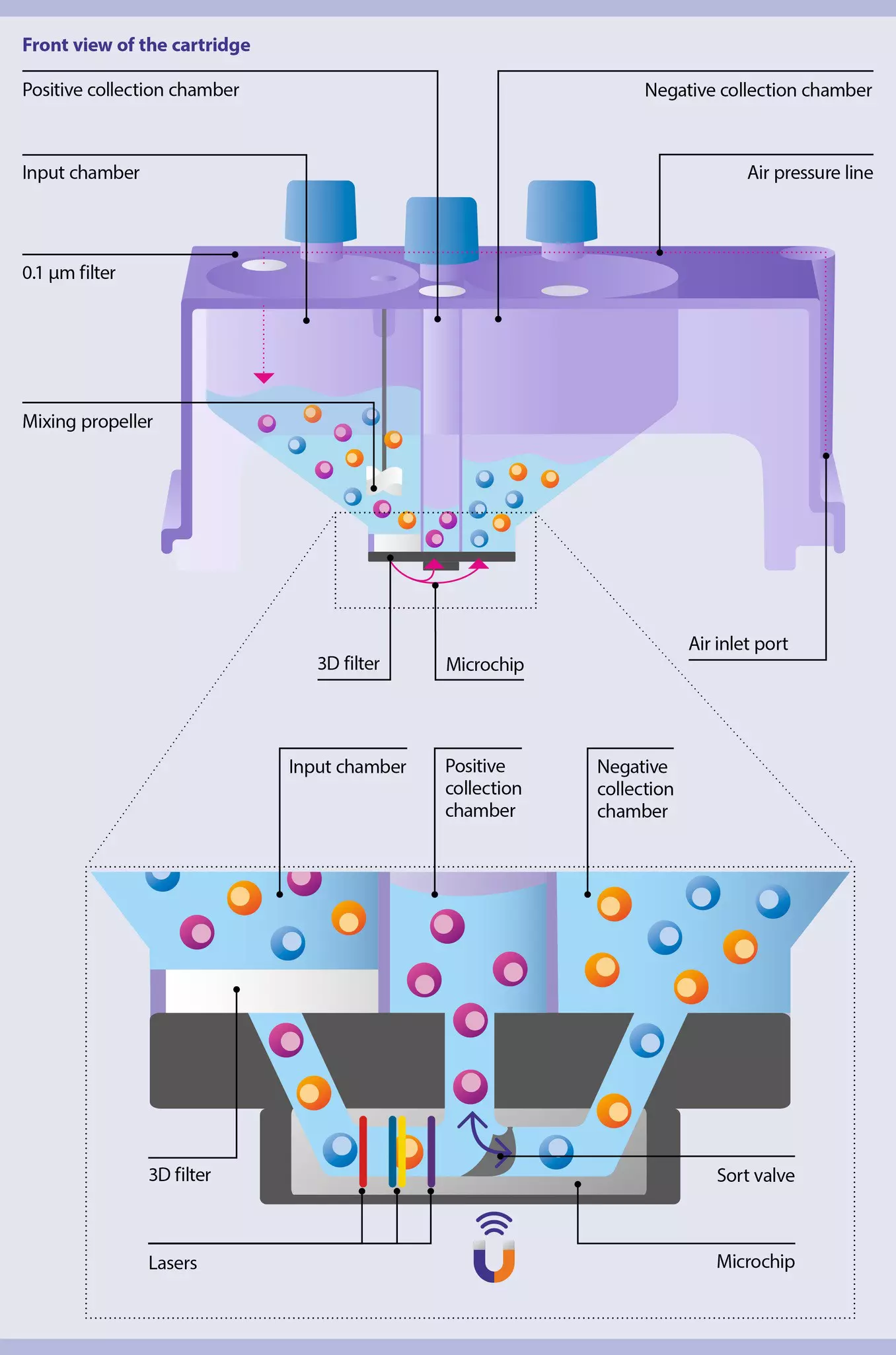 Microfluidic cell sorting principle | MACSQuant Tyto | Miltenyi Biotec ...