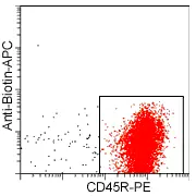 B Cell Isolation Kit, mouse | Miltenyi Biotec | USA