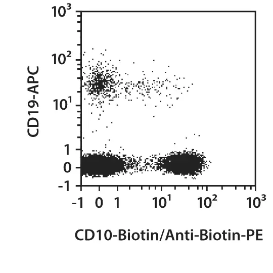 CD10 Antibody, anti-human | Miltenyi Biotec | USA