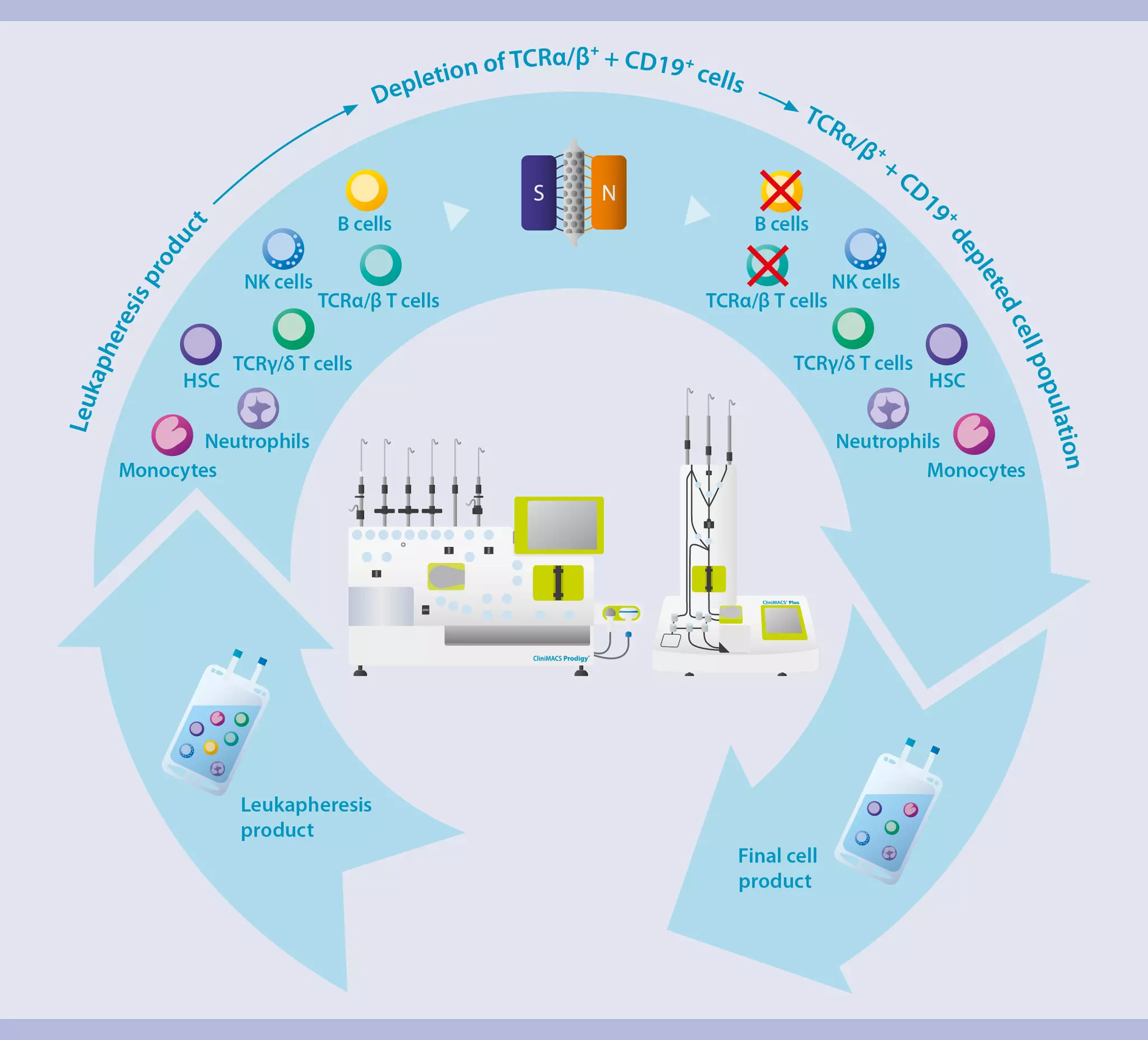 Gamma delta T cells | Manufacturing solutions | Miltenyi Biotec | USA
