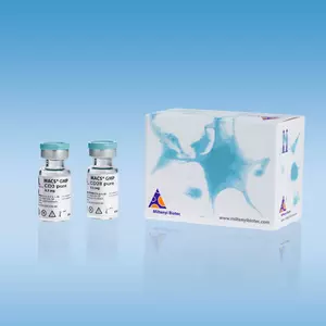 MACS® GMP CD3 pure | Miltenyi Biotec | 日本