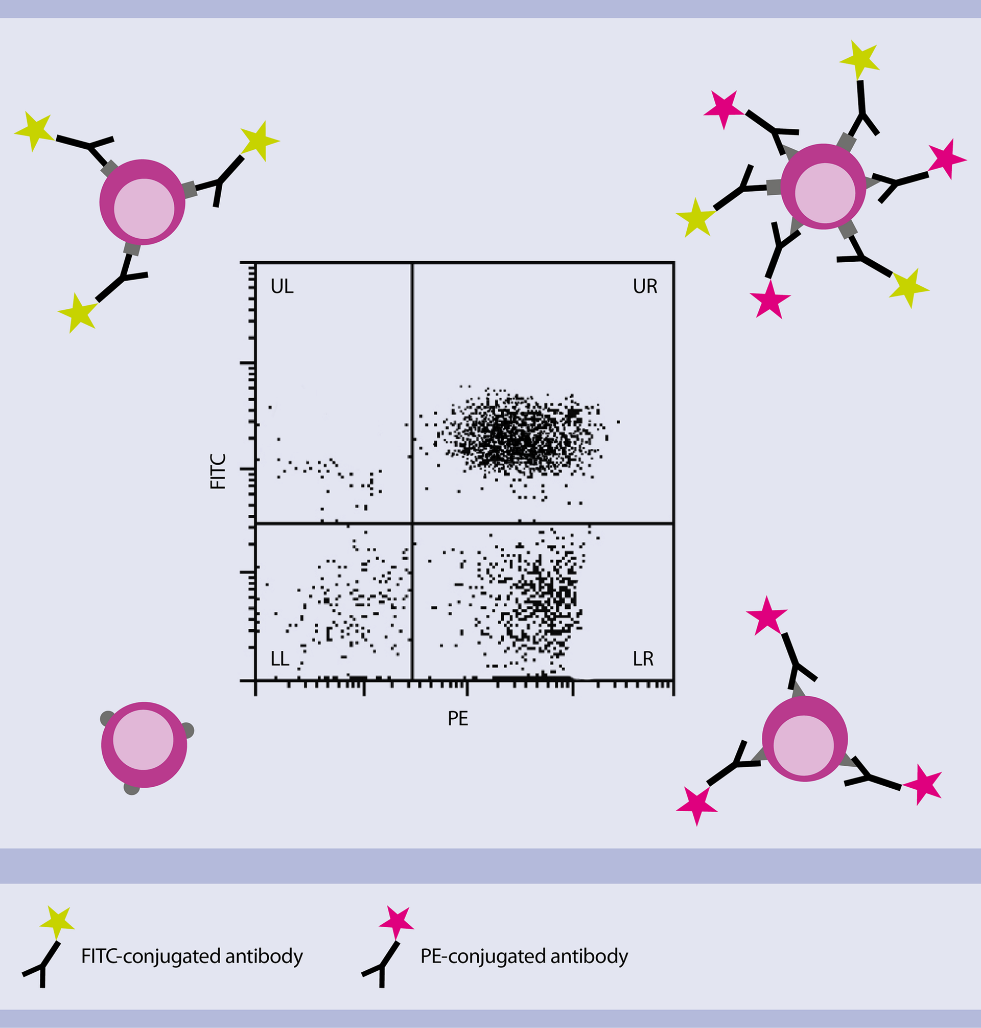 Flow cytometry basics | Miltenyi Biotec | USA