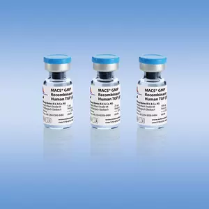 MSC-Brew GMP Medium | Miltenyi Biotec | India