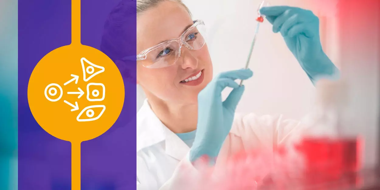 Pluripotent Stem Cell Research | Solutions and Workflows | Miltenyi ...