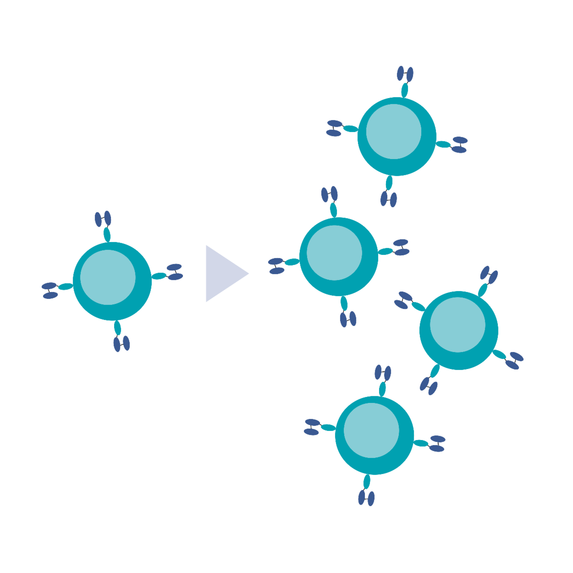 Customized Application Service for the CliniMACS Prodigy | Miltenyi ...