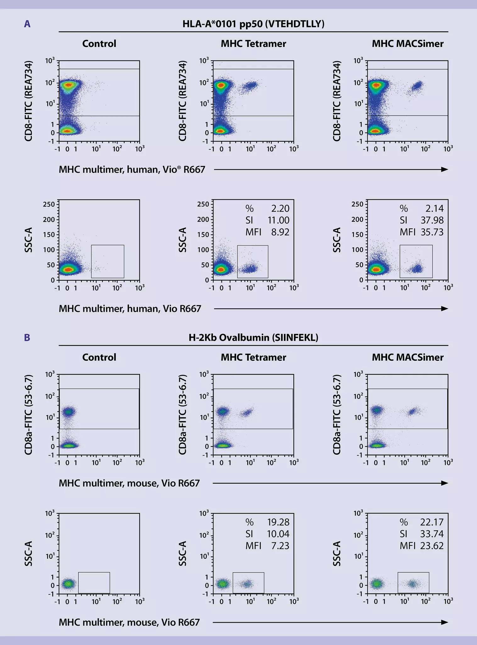 MHC Multimers for T Cell Analysis | Principles and Workflows | Miltenyi ...