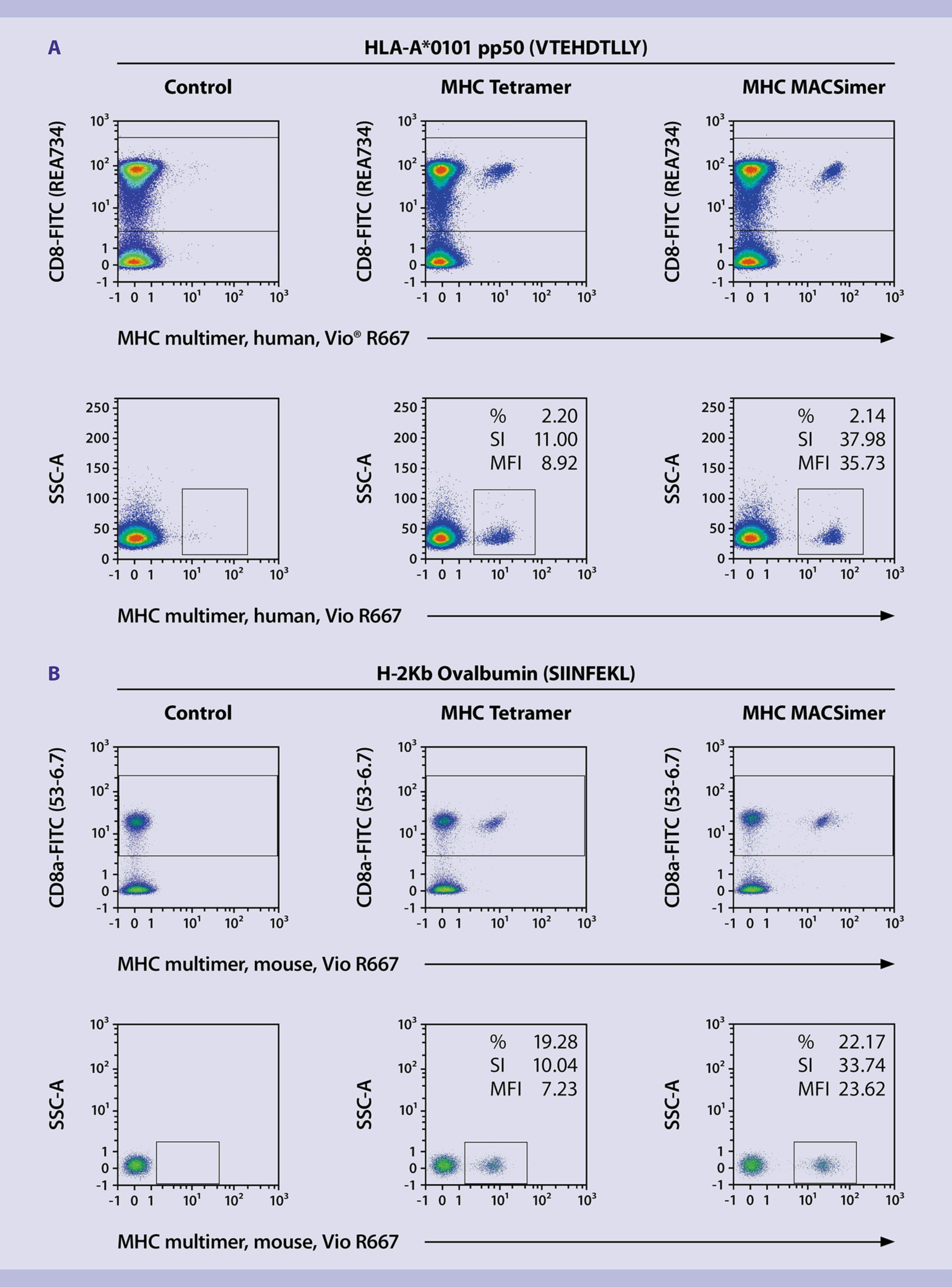 MHC multimers | TCR T cell therapy | Miltenyi Biotec | भारत