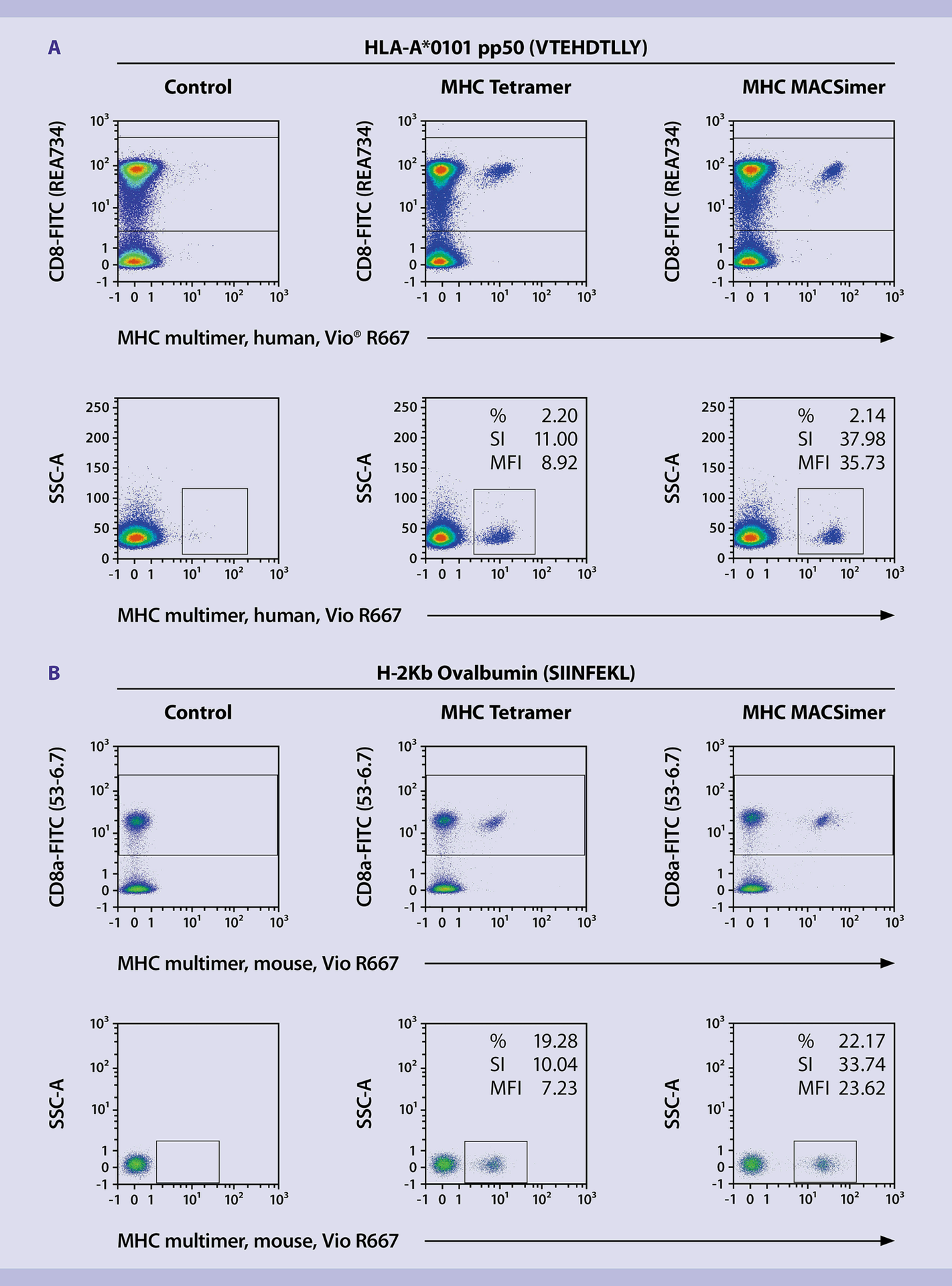 MHC multimers | TCR T cell therapy | Miltenyi Biotec | भारत