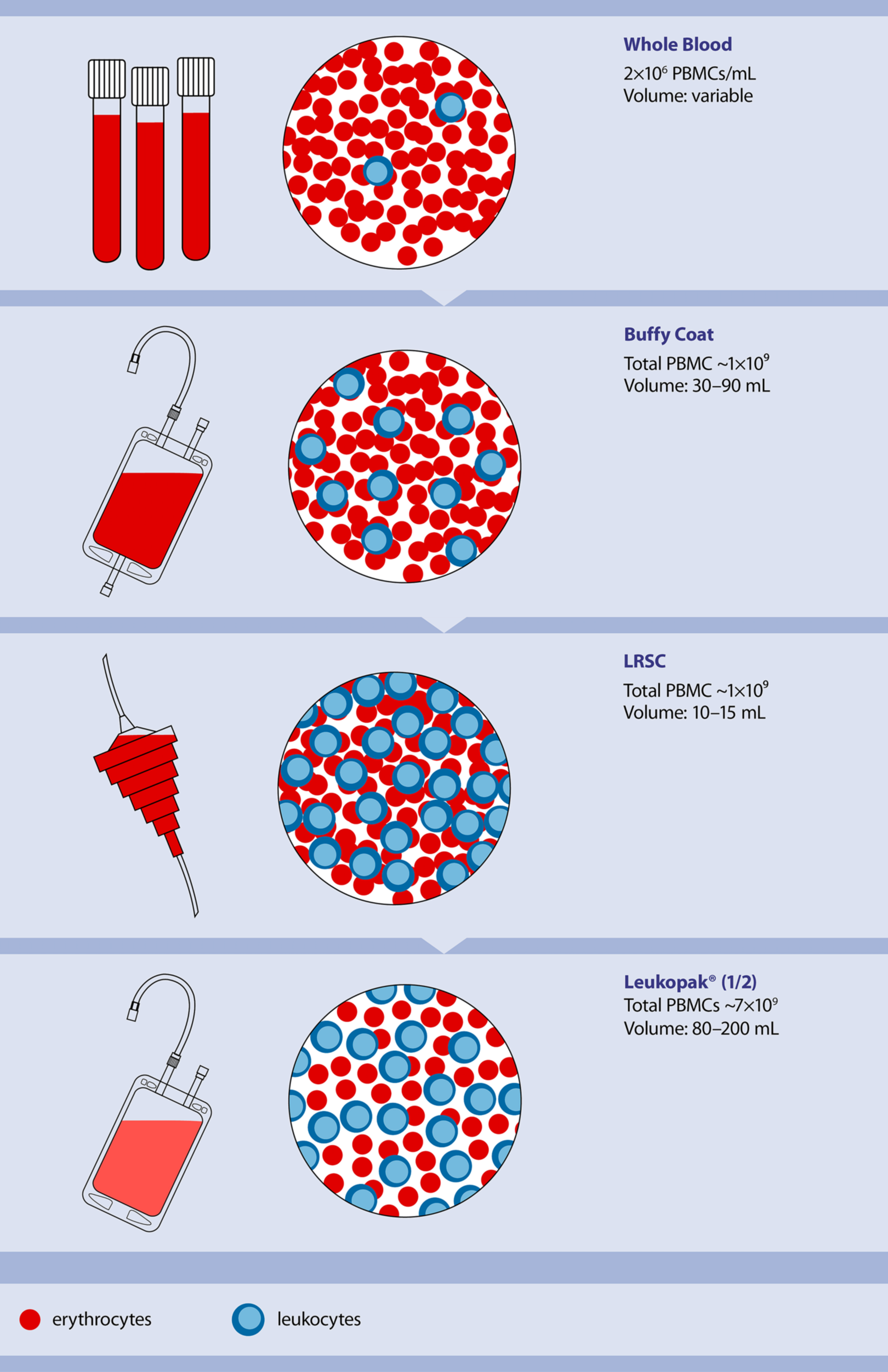Immune cell isolation directly from blood | Miltenyi Biotec | भारत