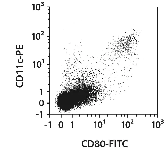 CD80 Antibody, anti-mouse | Miltenyi Biotec | USA