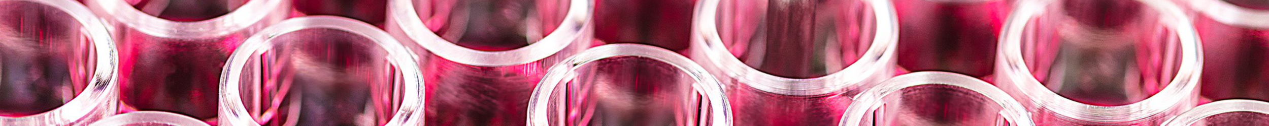 Cytokine secretion assays| MACS® Flow Cytometry Kits and support ...