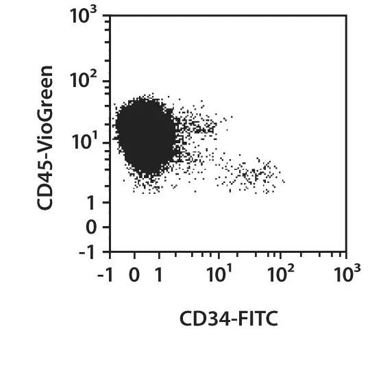 CD34 Antibody, anti-human | Miltenyi Biotec | USA