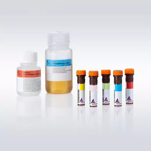 Treg Analysis Kits, anti-mouse, REAfinity™ | Miltenyi Biotec | 日本