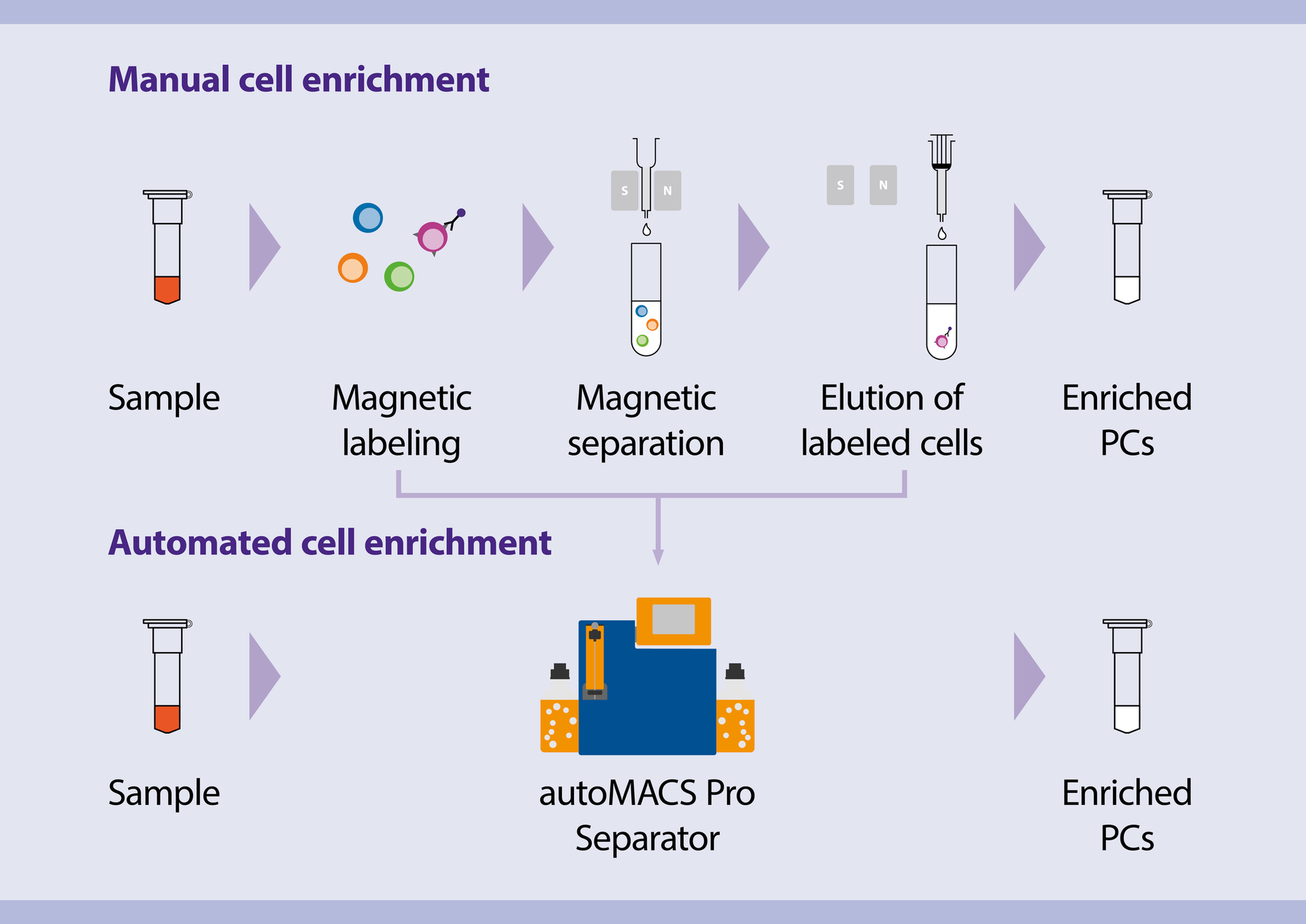 Monoclonal antibodies cancer treatment | Monoclonal antibody ...