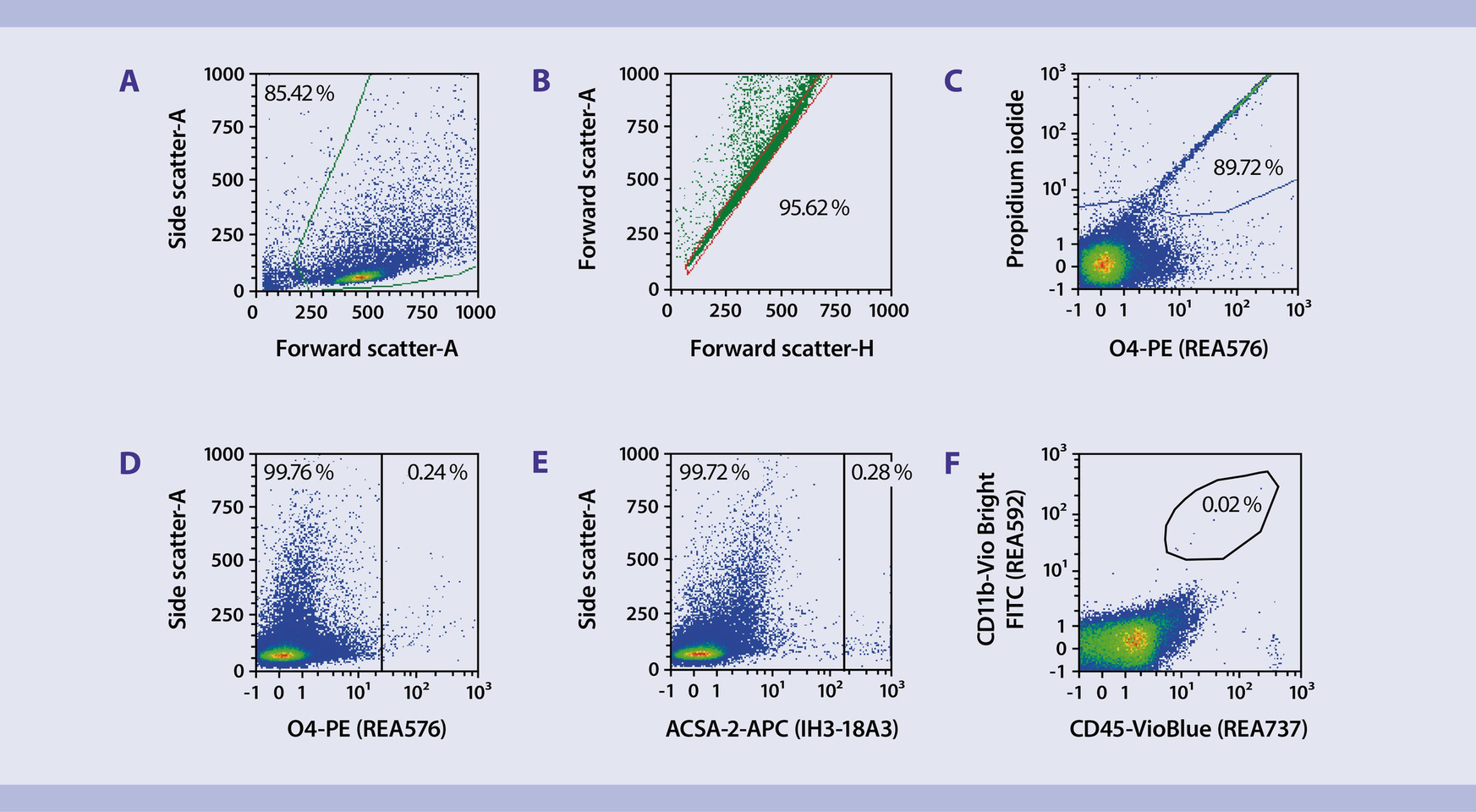 Immunophenotyping | mouse cortical neurons | Protocol | Miltenyi Biotec ...