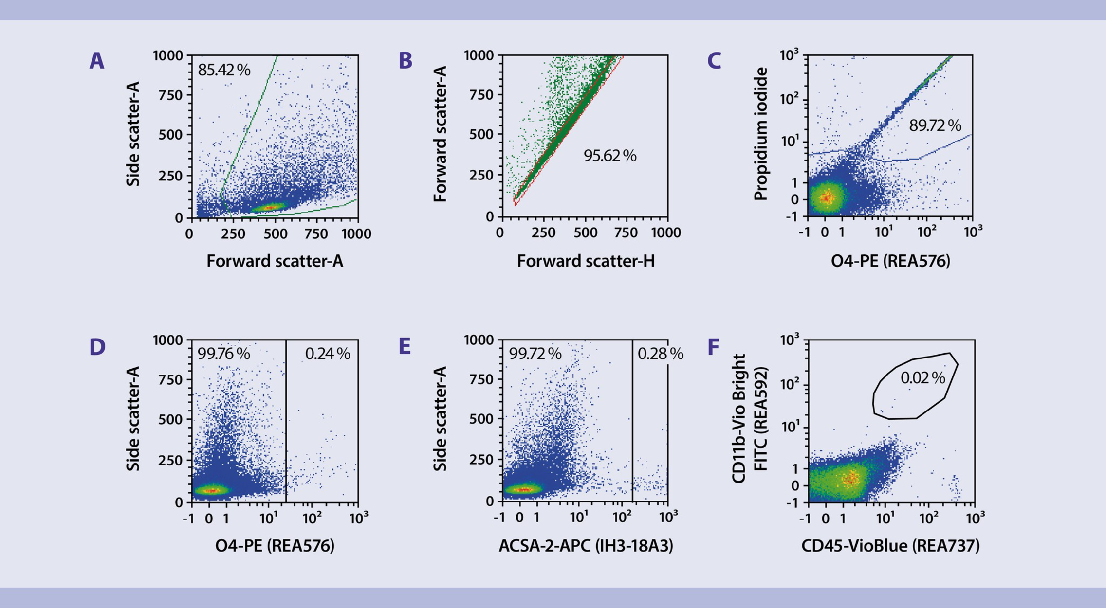 Immunophenotyping | mouse cortical neurons | Protocol | Miltenyi Biotec ...