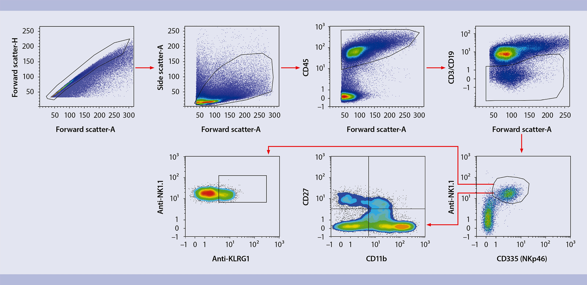 NK cells (mouse) | Miltenyi Biotec | 대한민국