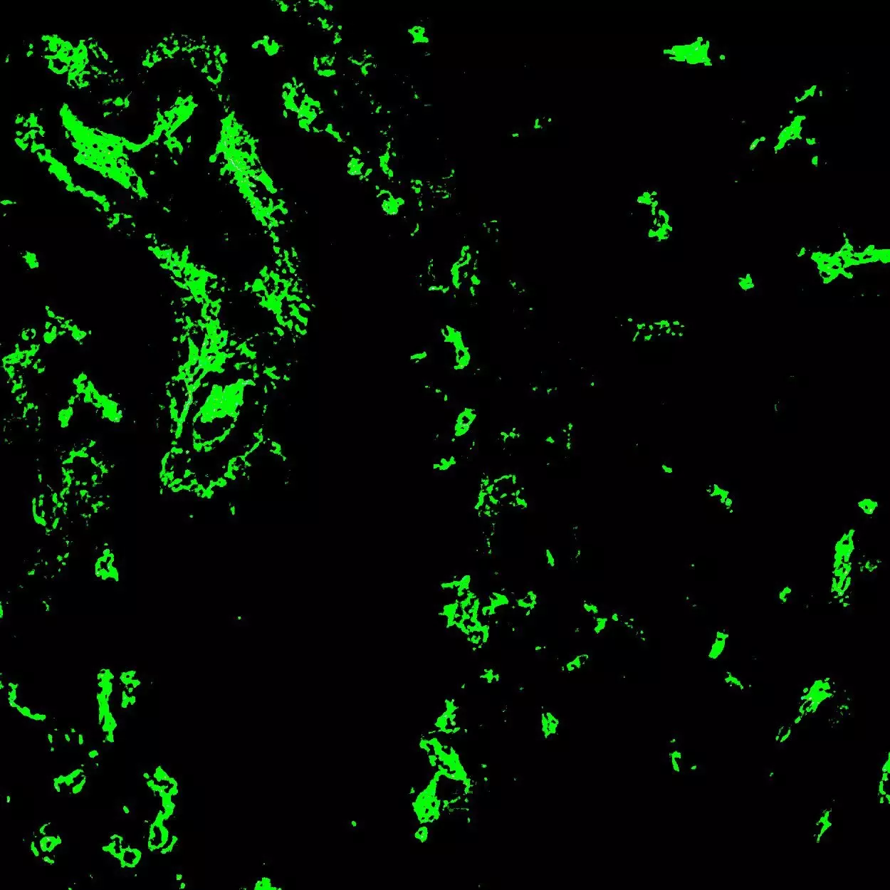 CD34 Antibody, anti-human | Miltenyi Biotec | 中国