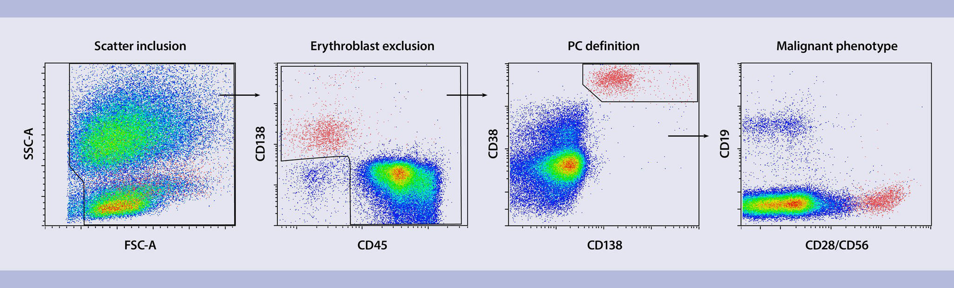 Multiple myeloma cell isolation | Plasma cell isolation | Miltenyi ...