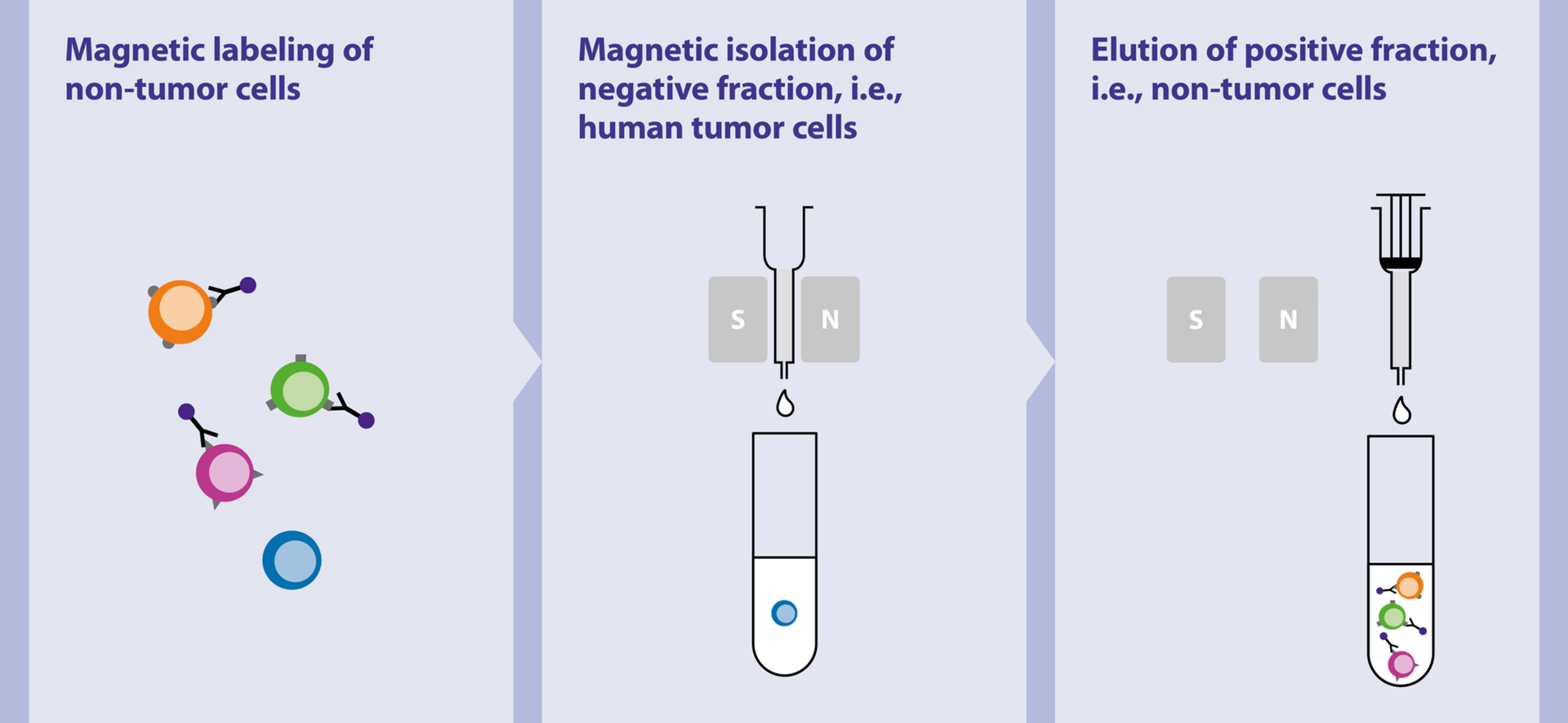 Initiation of human tumor cell culture from primary tumors | Miltenyi ...