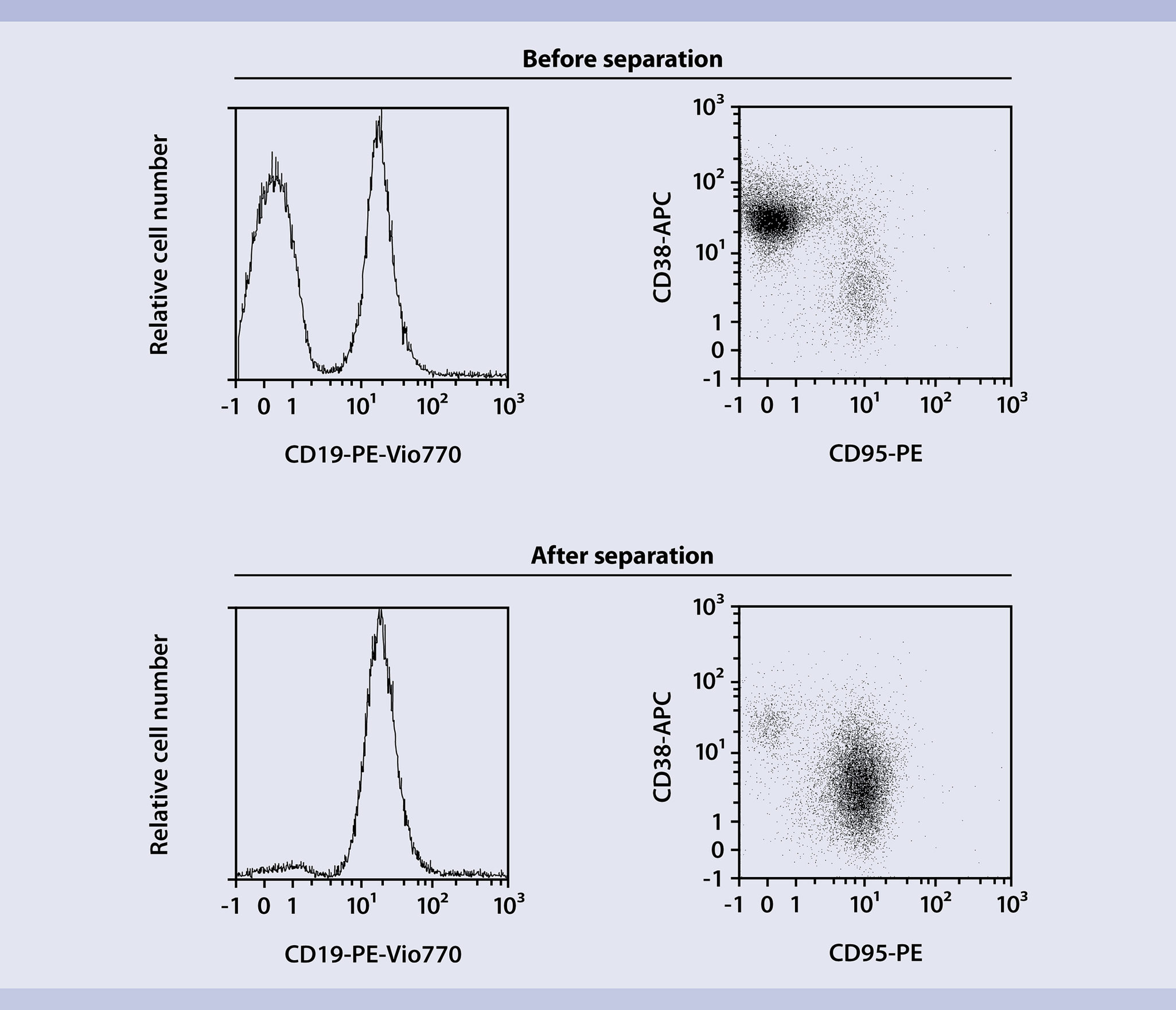 B cells (mouse) | Miltenyi Biotec | España