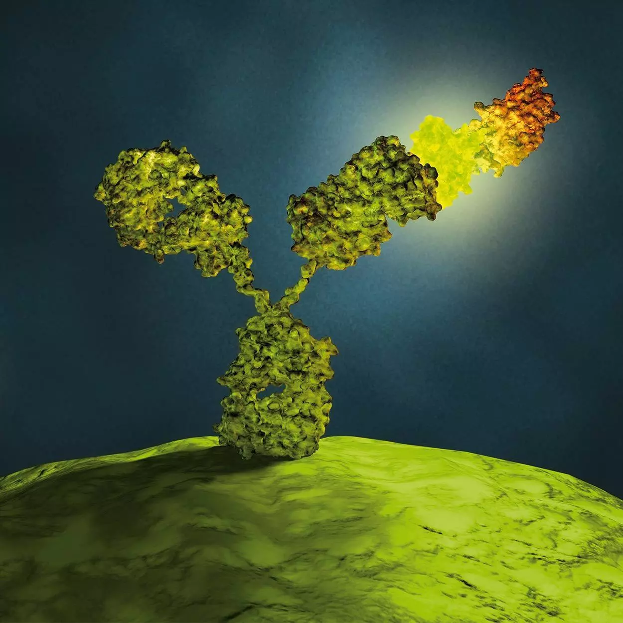Antibodies | Products | Miltenyi Biotec | USA