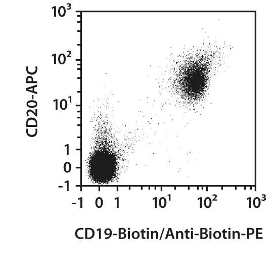 CD19 Antibody, anti-human, REAfinity™ | Miltenyi Biotec | USA