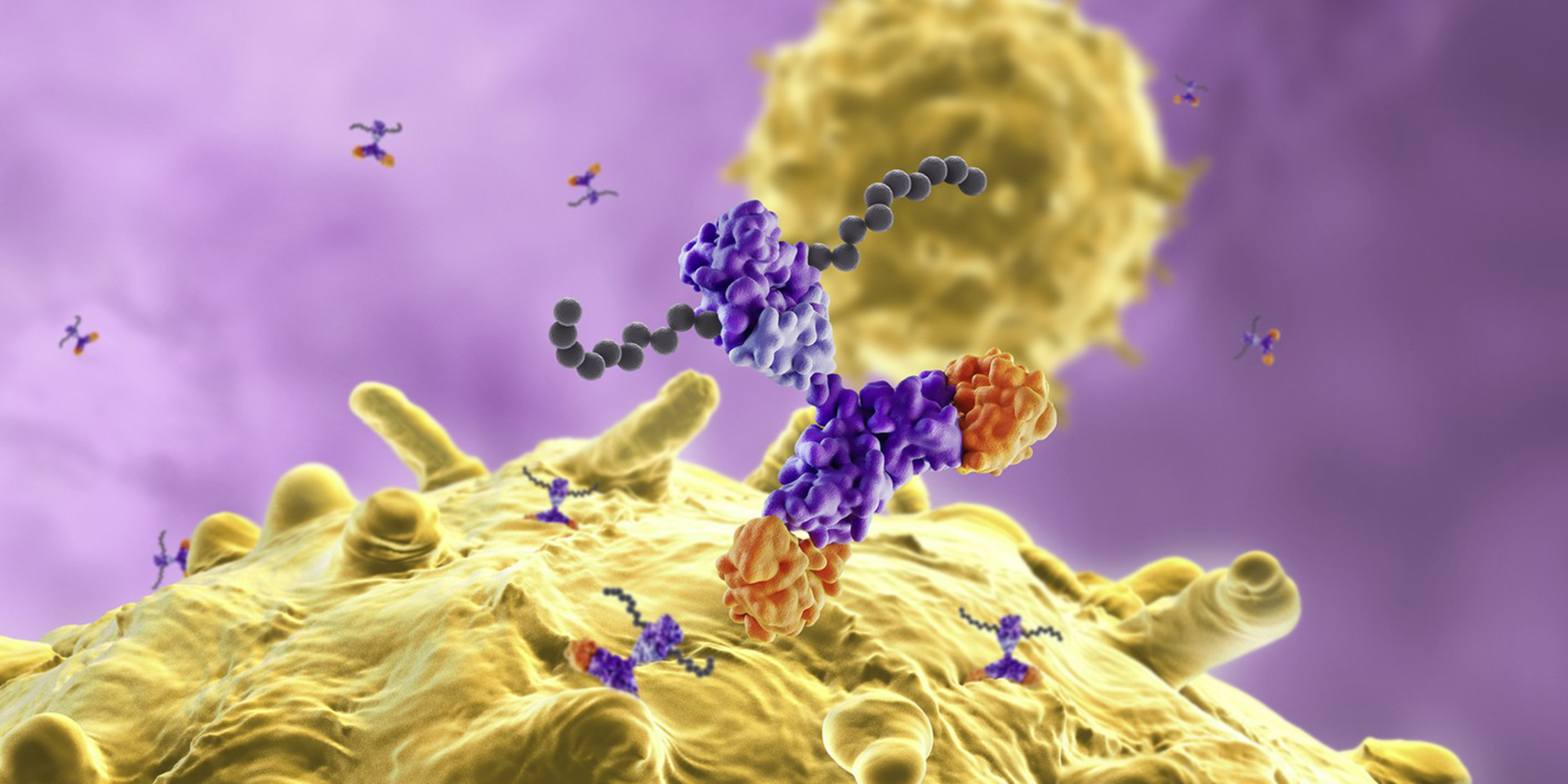 Antibodies | Products | Miltenyi Biotec | USA