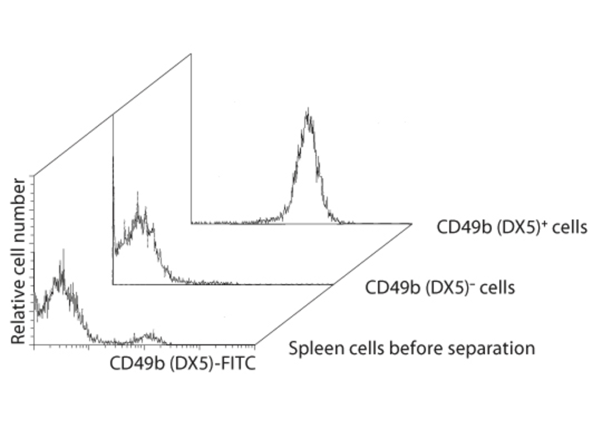 NK cells (mouse) | Miltenyi Biotec | Great Britain
