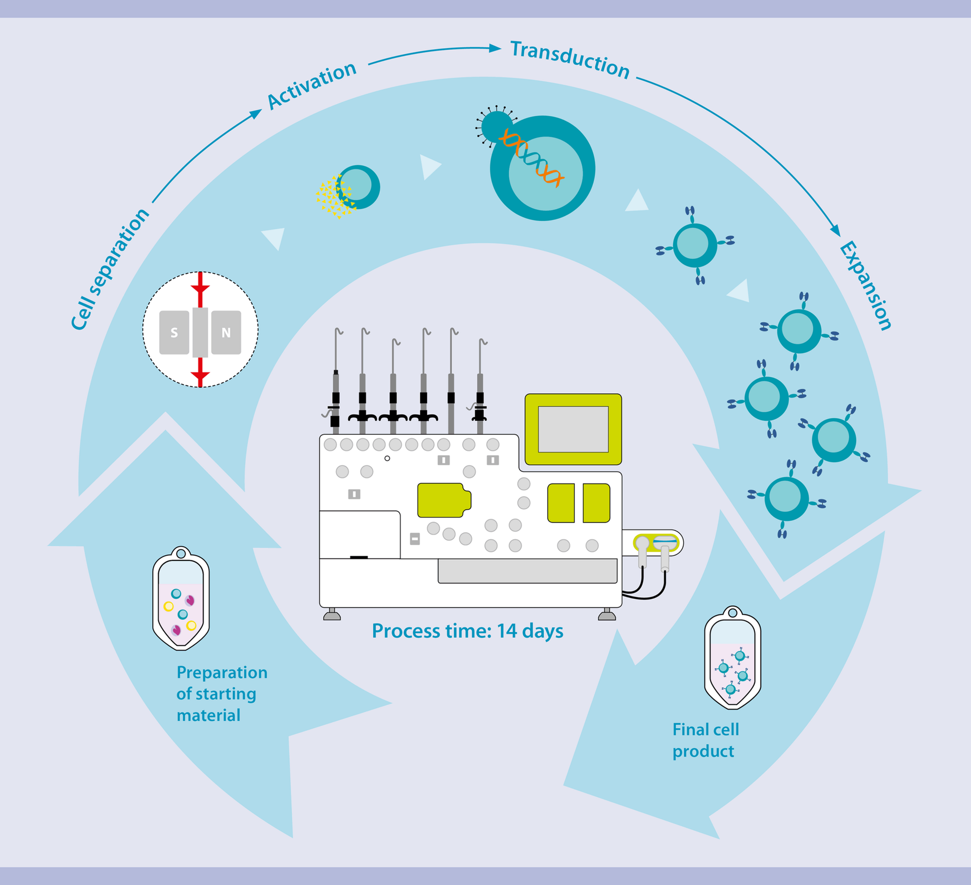 Immuno-oncology | Application protocols | Miltenyi Biotec | Miltenyi ...
