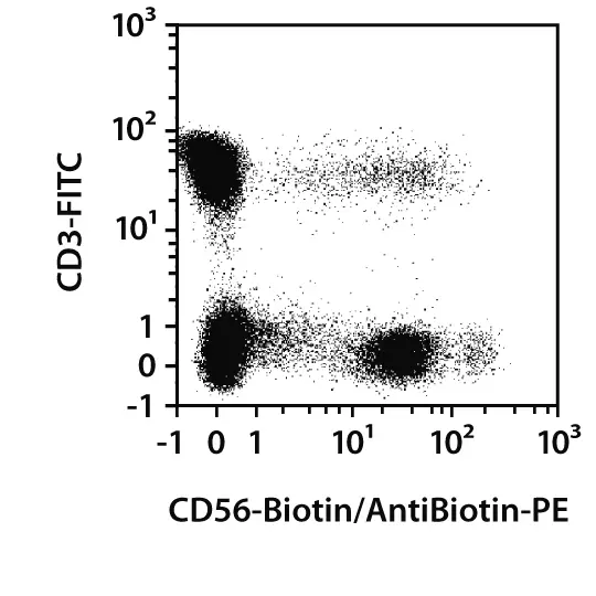 CD56 Antibody, anti-human, REAfinity™ | Miltenyi Biotec | USA