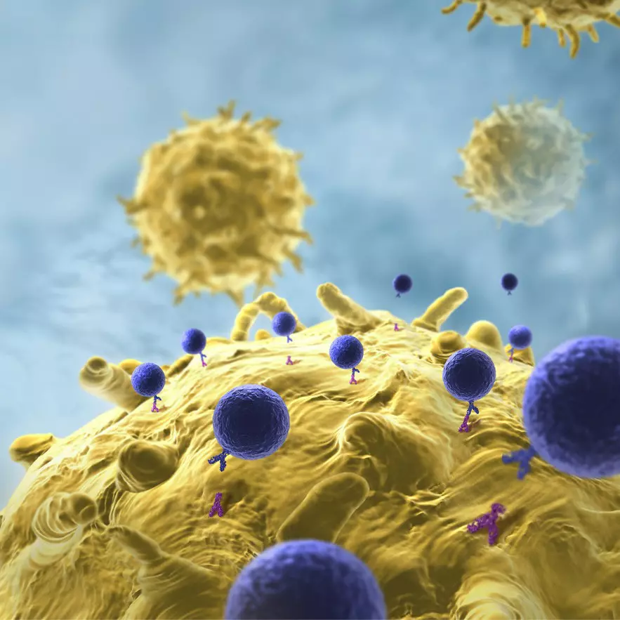 Cell Separation | Cell Isolation | Products | Miltenyi Biotec | Deutschland