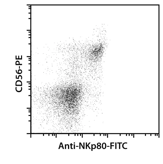 NKp80 Antibody, anti-human | Miltenyi Biotec | USA