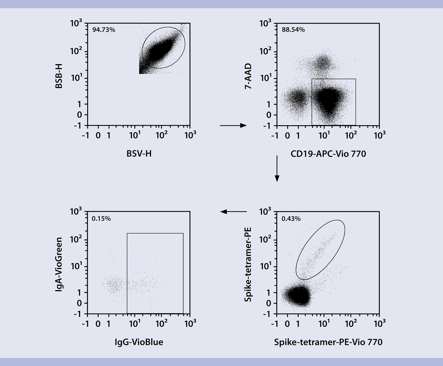Microchip-based cell sorting and expansion of SARS-CoV-2–specific B ...