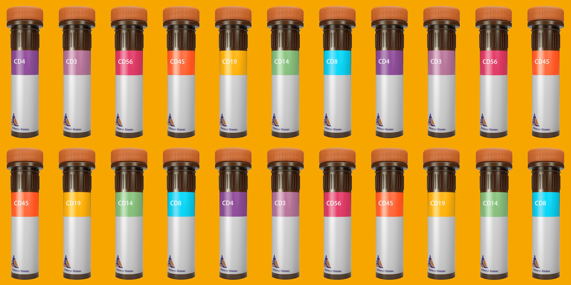 CD117 MicroBead Kit, human | Hematopoietic stem cells | MicroBeads and ...