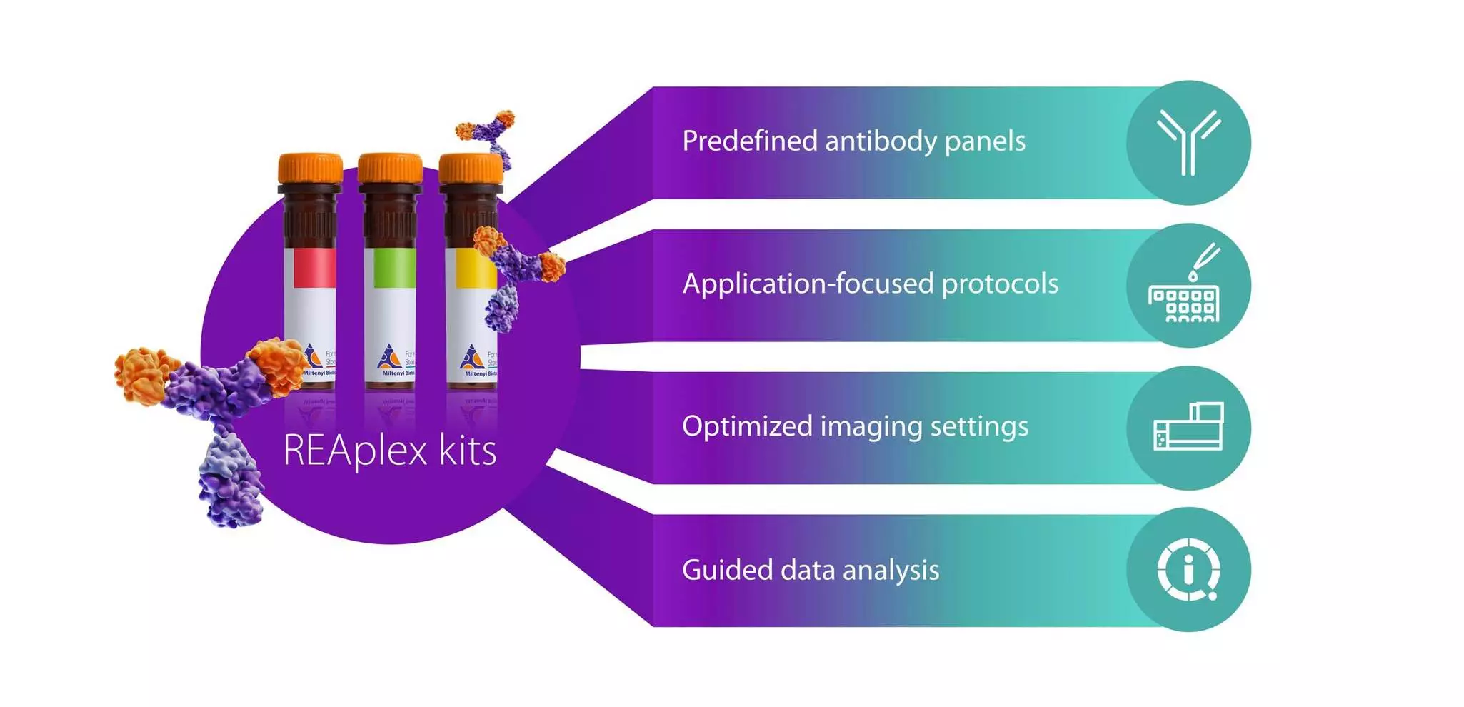Predefined REAplex antibody kits for spatial mapping and multiplexing ...