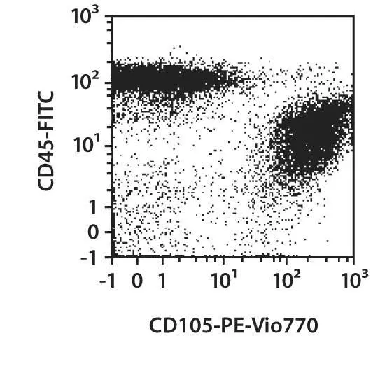 CD105 Antibody, anti-human | Miltenyi Biotec | USA