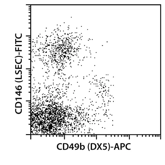 CD146 (LSEC) MicroBeads, mouse | Miltenyi Biotec | 대한민국