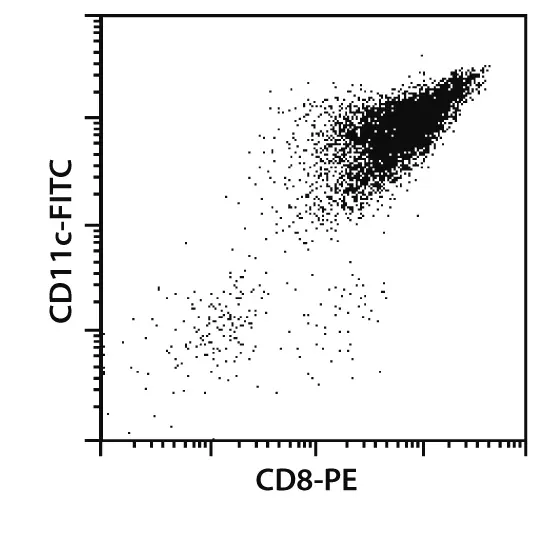CD8+ Dendritic Cell Isolation Kit, mouse | Miltenyi Biotec | Hong Kong